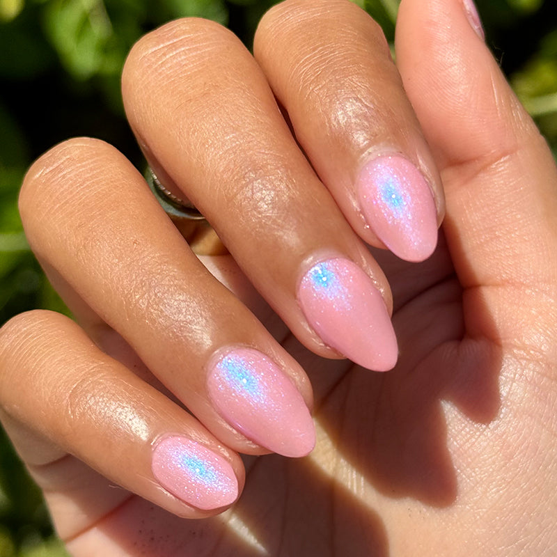 Candy Shoppe – Olive and June